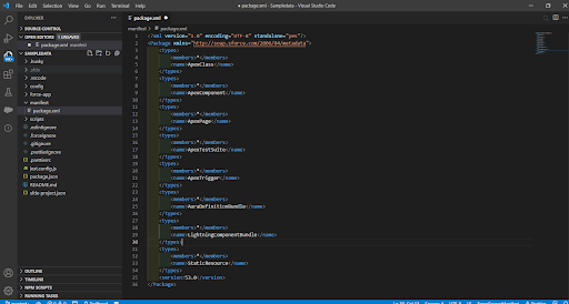 Retrieve All Metadata From Your Salesforce Org Using Package Xml